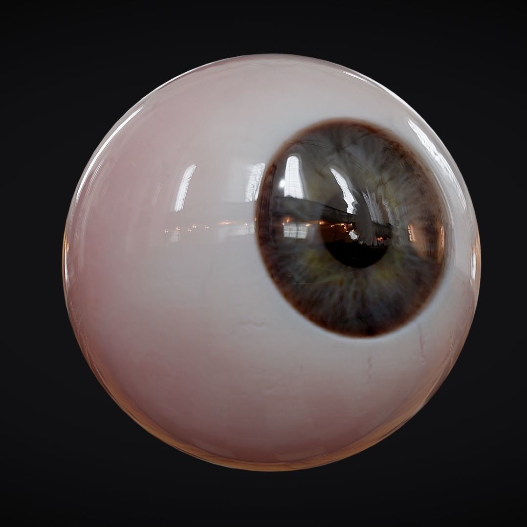 Photorealistic Eye Blue Grey 3D model | CGTrader