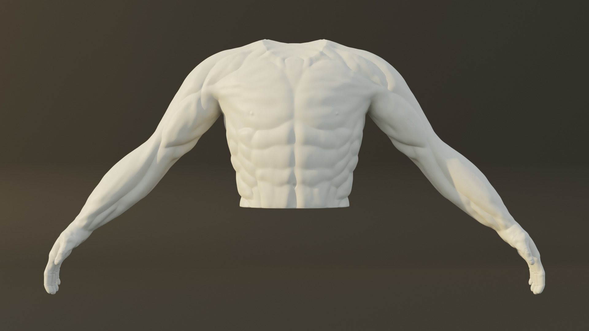 Man Torso - High Mid Low Poly Package free 3D model | CGTrader