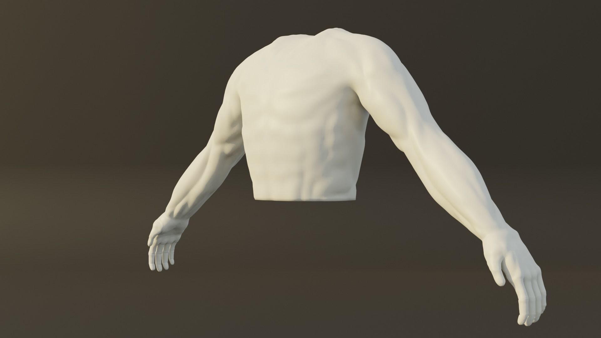 Man Torso - High Mid Low Poly Package free 3D model | CGTrader