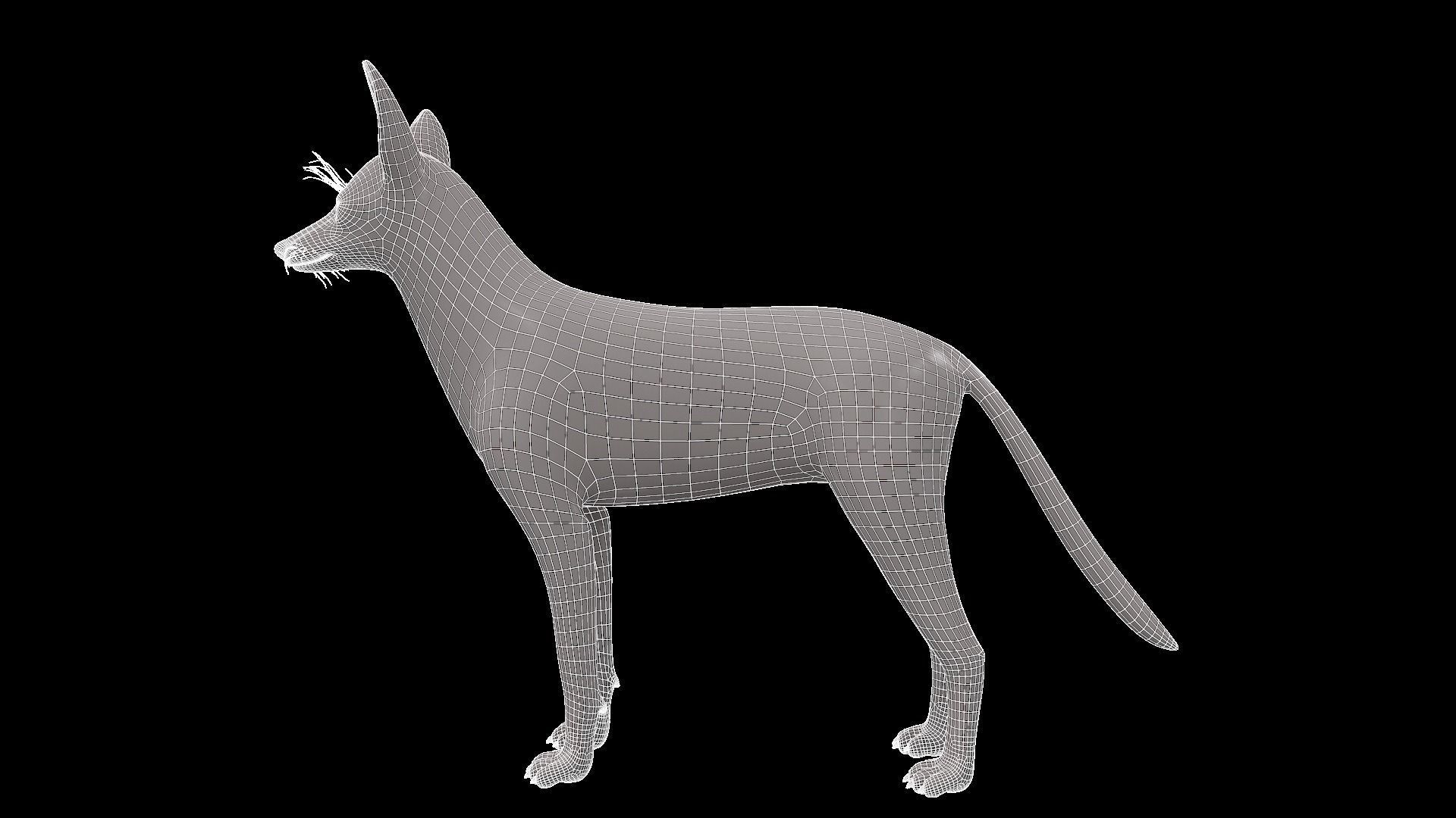 Realistic jackal animal 3d model 3D model rigged | CGTrader