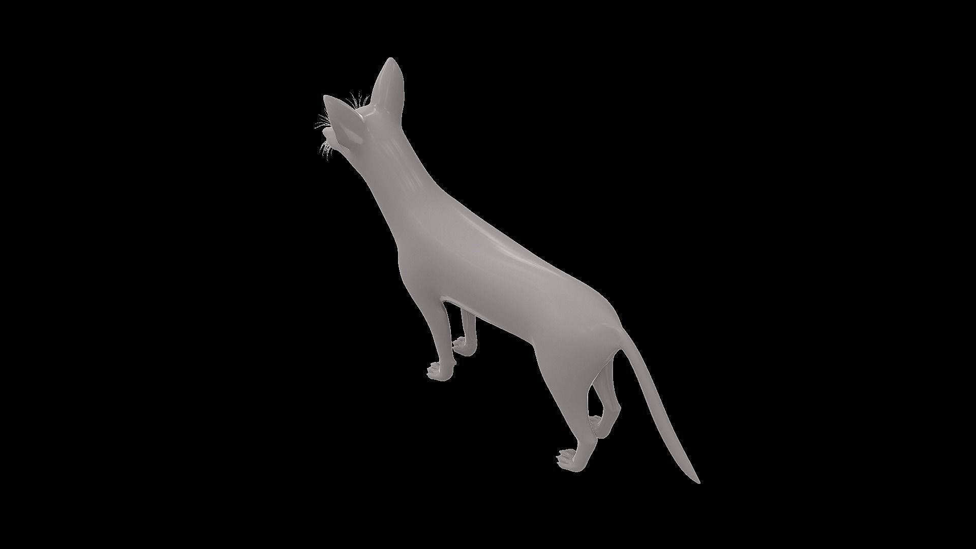 Realistic jackal animal 3d model 3D model rigged | CGTrader