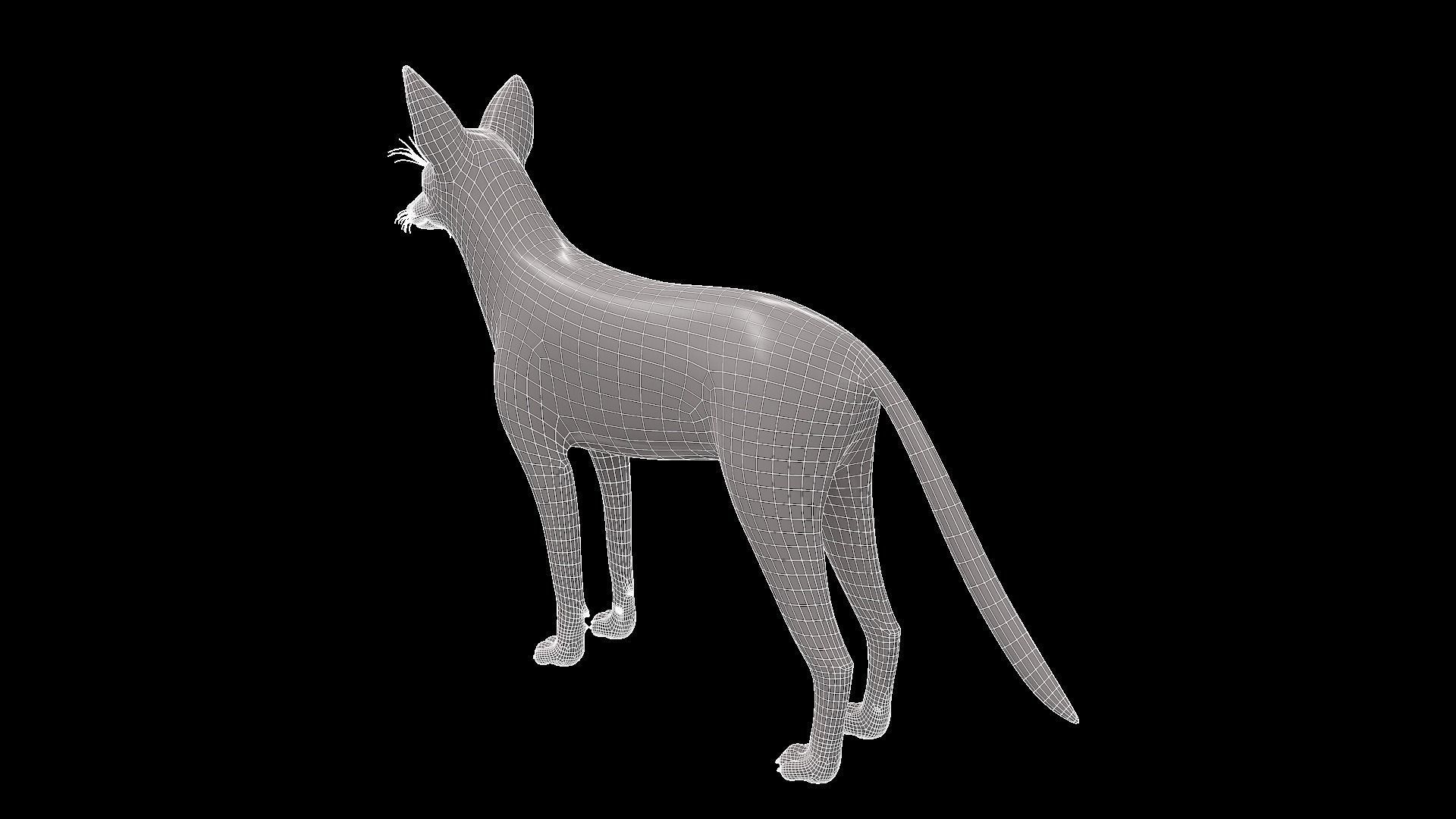 Realistic jackal animal 3d model 3D model rigged | CGTrader