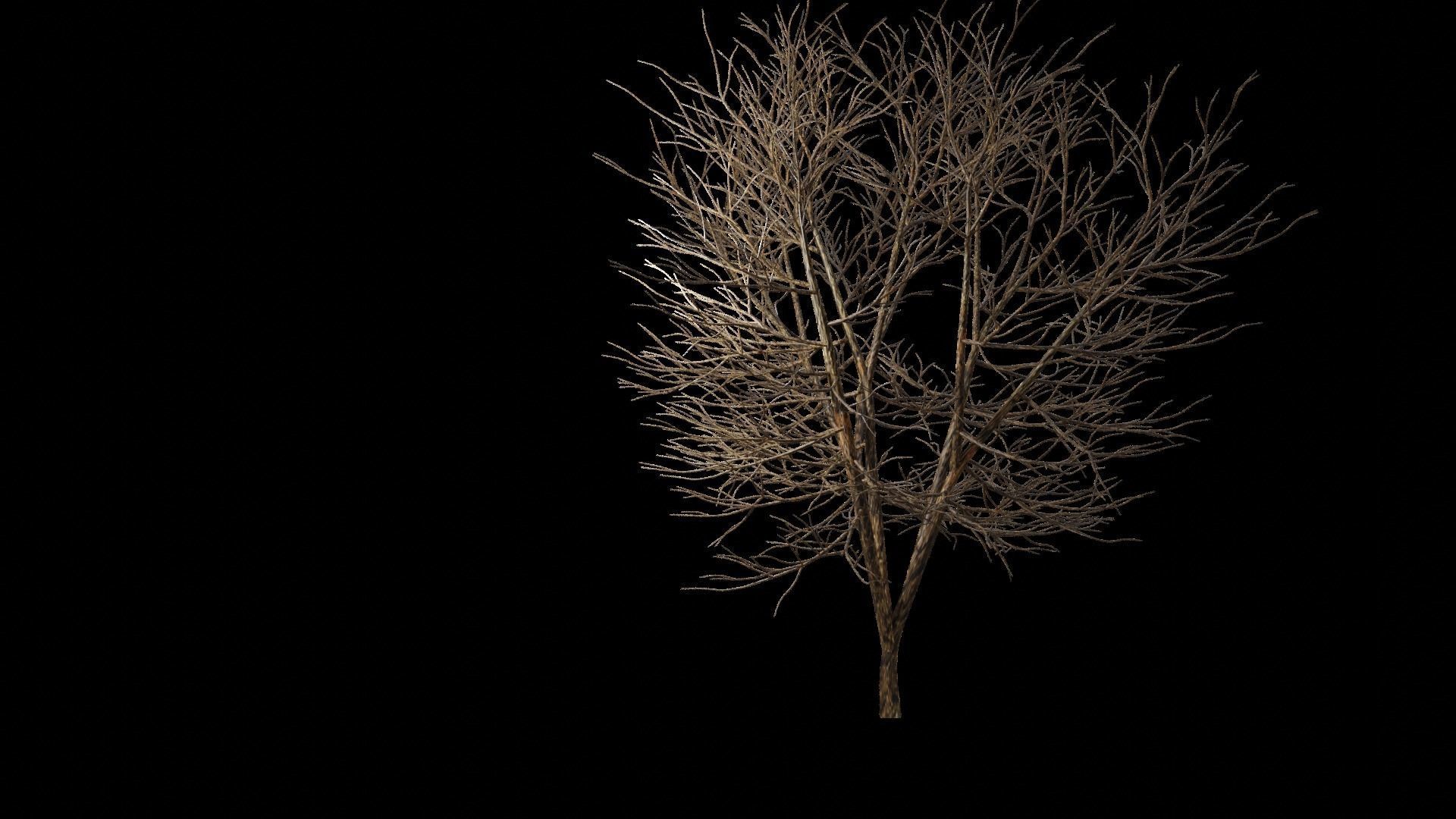 Dead tree 3D model | CGTrader