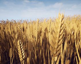Low-poly Wheat 3D Models | CGTrader