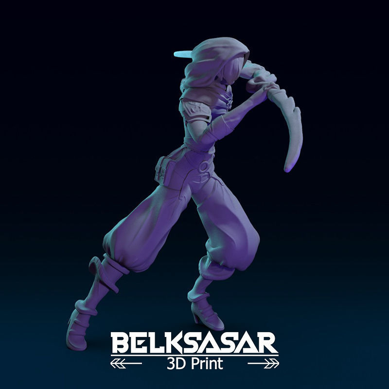 Fantasy Female Assassin 3D model 3D printable | CGTrader
