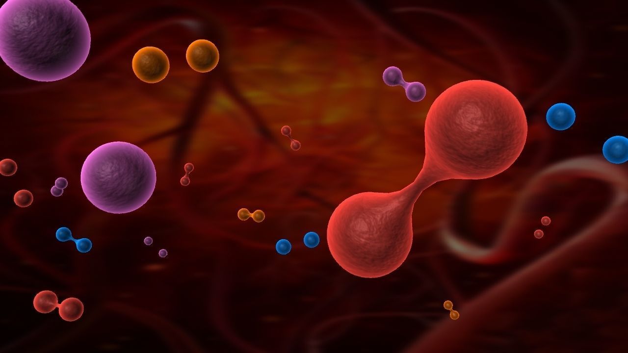 Cell division animation 3D model | CGTrader