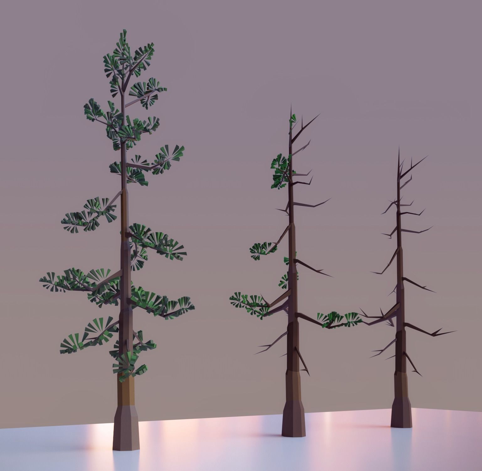 Old Pine Tree Low Poly free VR / AR / low-poly 3D model | CGTrader