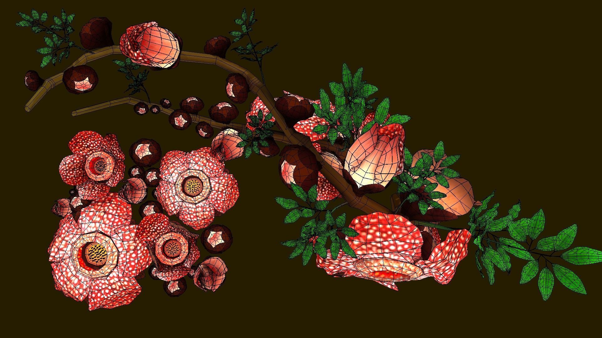 3D model Flower Rafflesia arnoldii VR / AR / low-poly | CGTrader