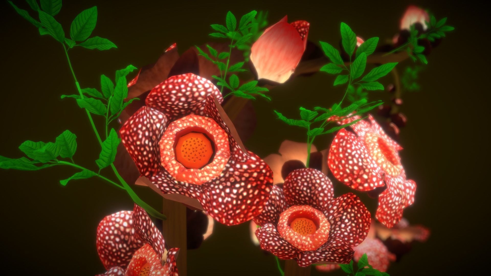3D model Flower Rafflesia arnoldii VR / AR / low-poly | CGTrader