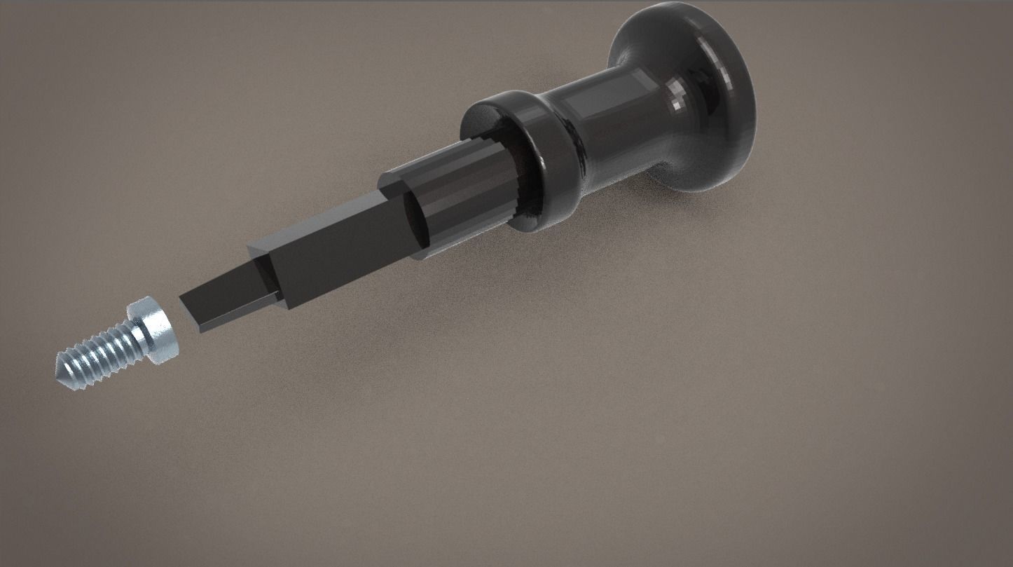 3D Simple Screw Driver and Screw 3D model 3D printable | CGTrader