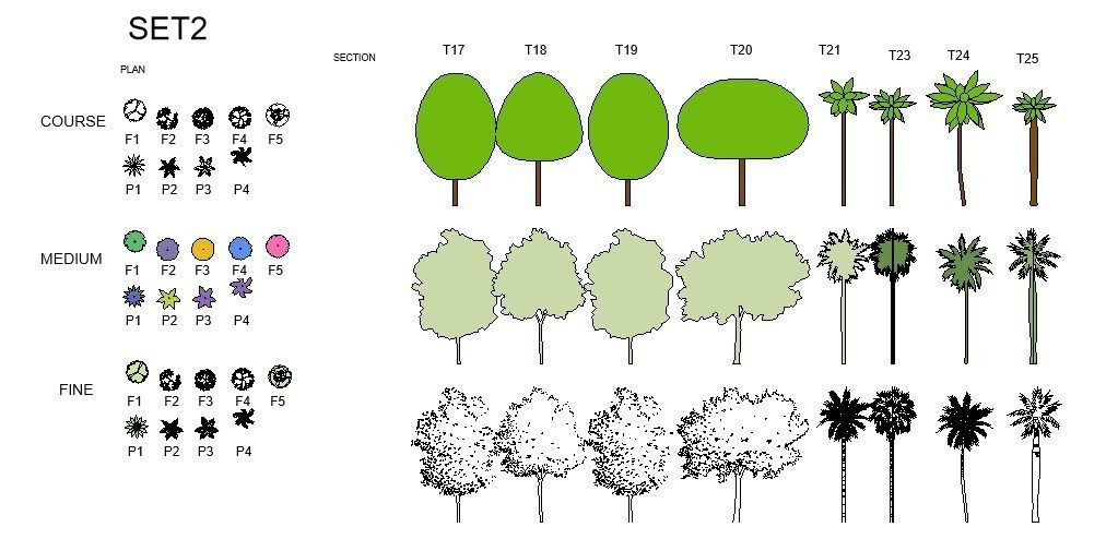 Fully Customizable Revit 2020 Tree Family 3D model | CGTrader