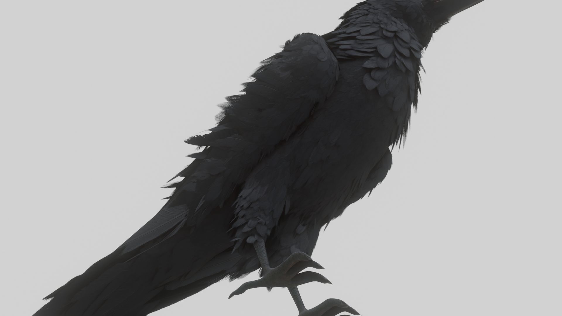 3D model Animated Low Poly Raven Model With PBR Materials VR / AR / low ...