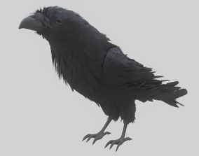 Animated bird 3D Models | CGTrader