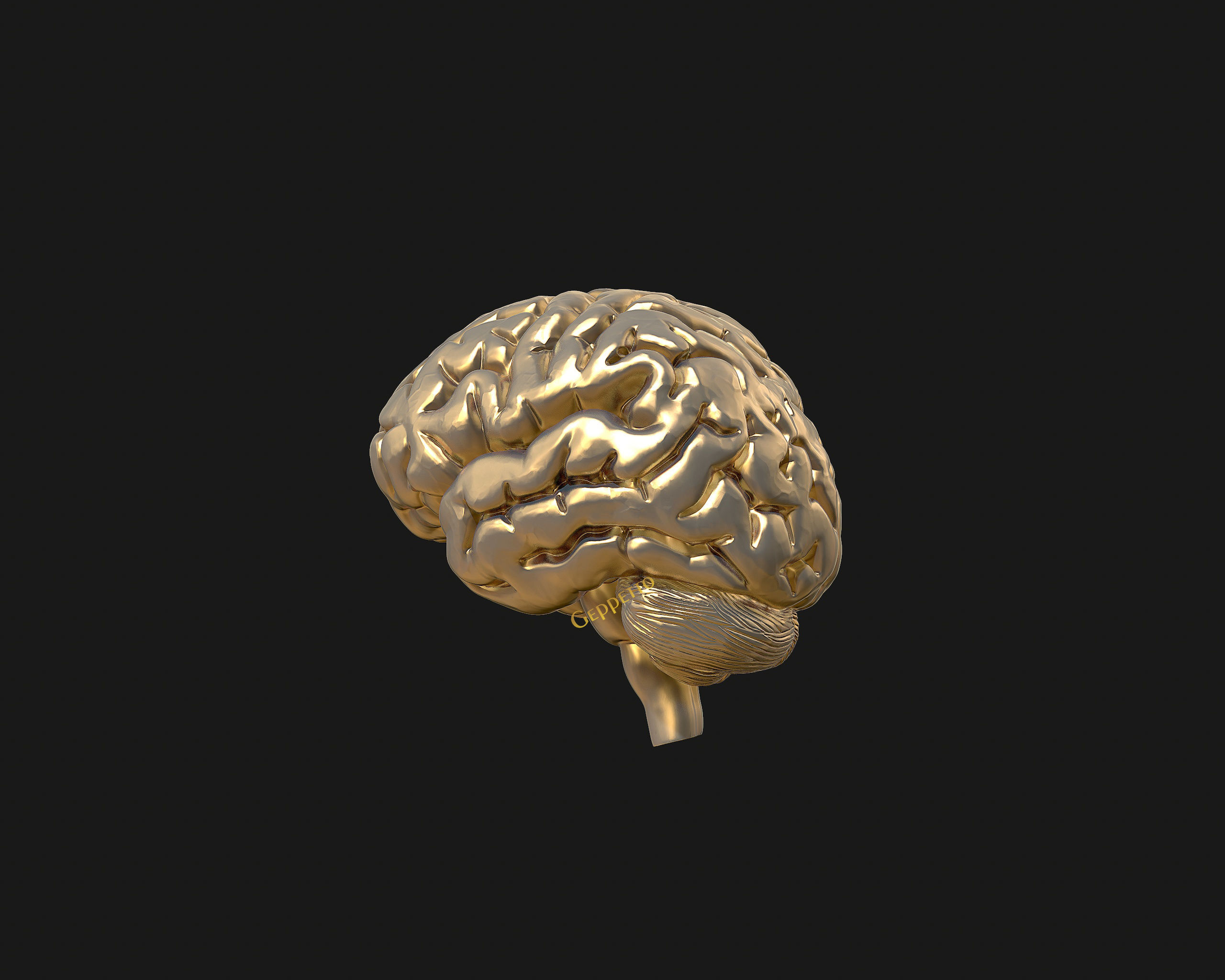 human Brain 3D model Ready to 3D print 3D model 3D printable | CGTrader