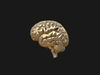 human Brain 3D model Ready to 3D print 3D model 3D printable | CGTrader