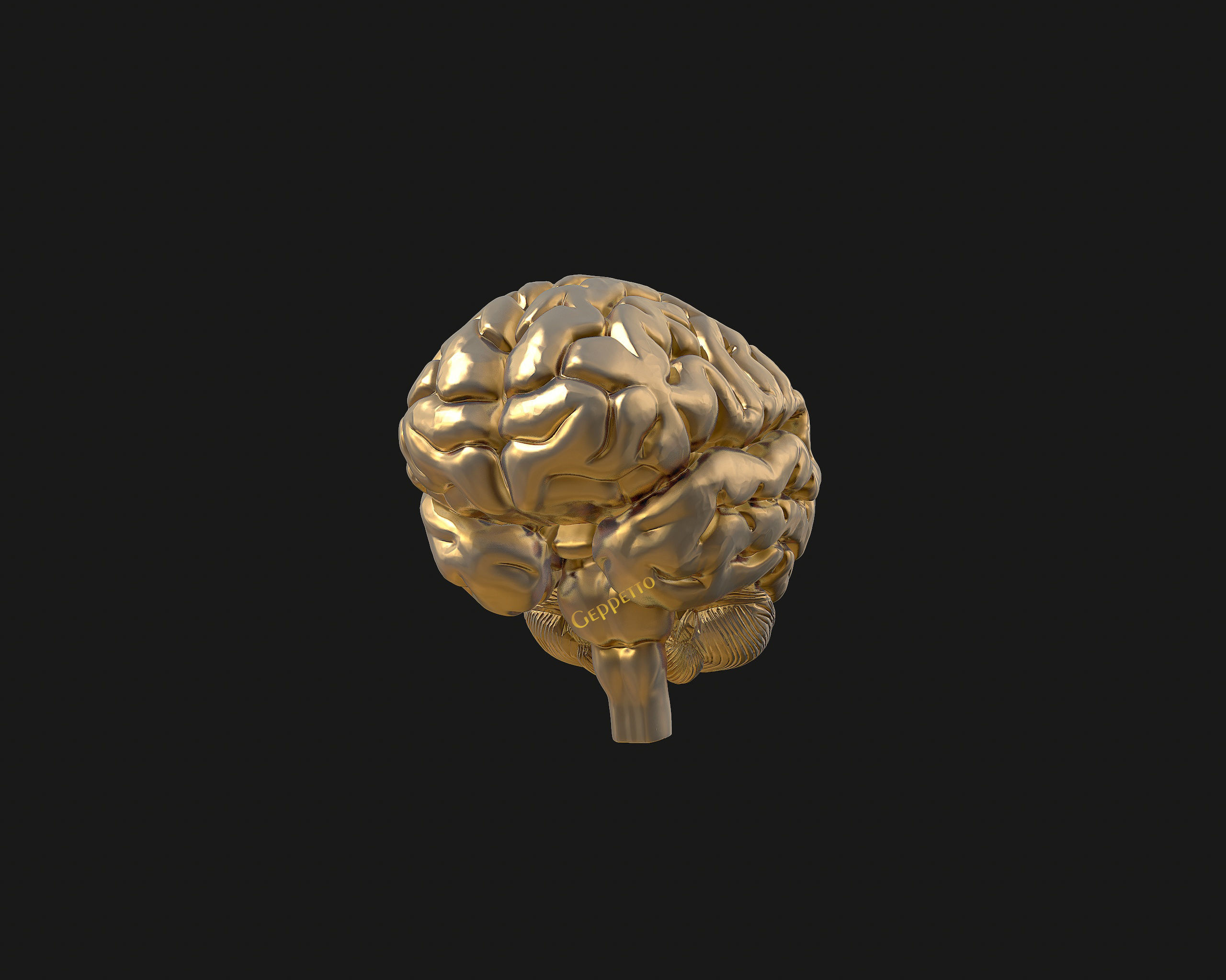 human Brain 3D model Ready to 3D print 3D model 3D printable | CGTrader