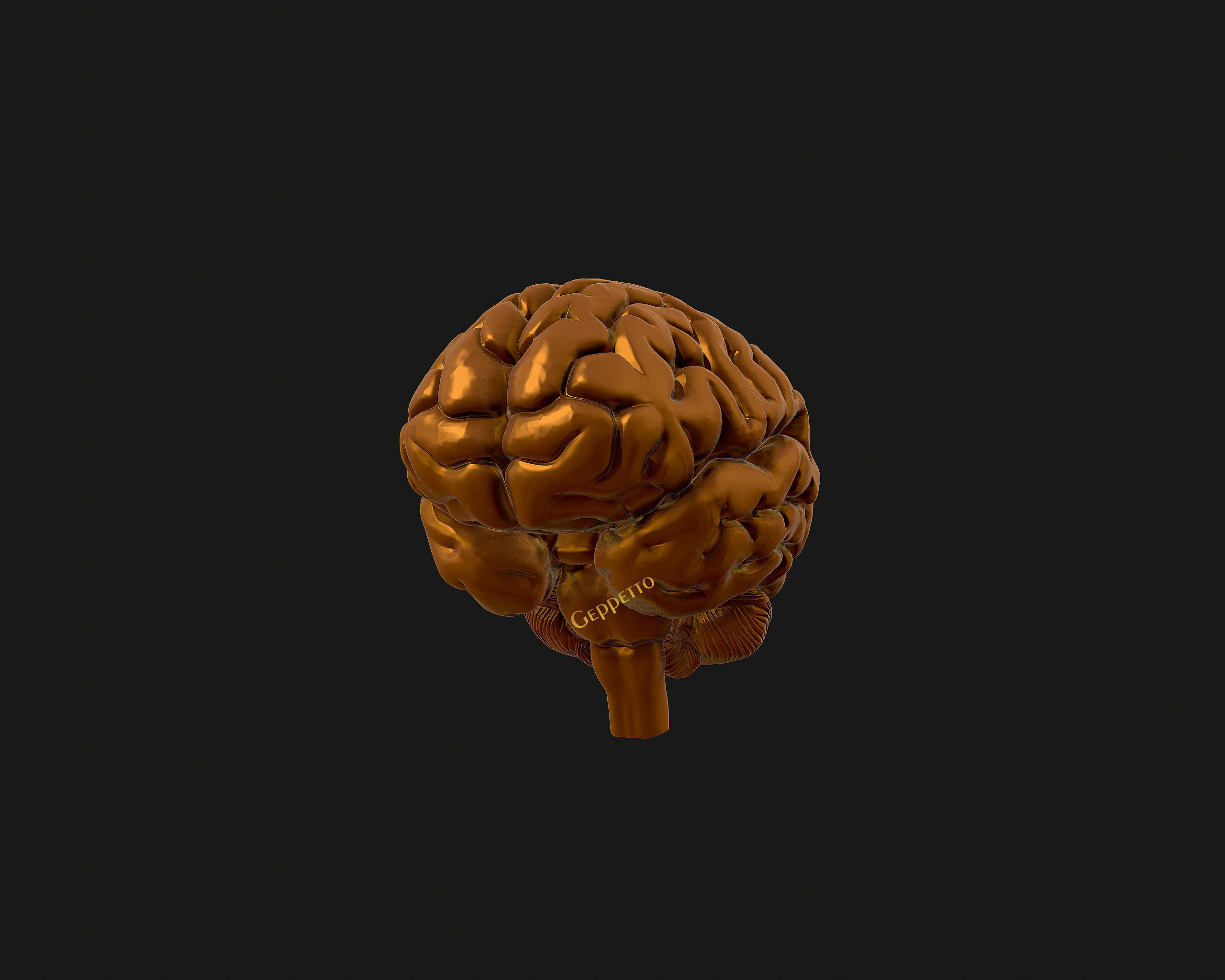 human Brain 3D model Ready to 3D print 3D model 3D printable | CGTrader