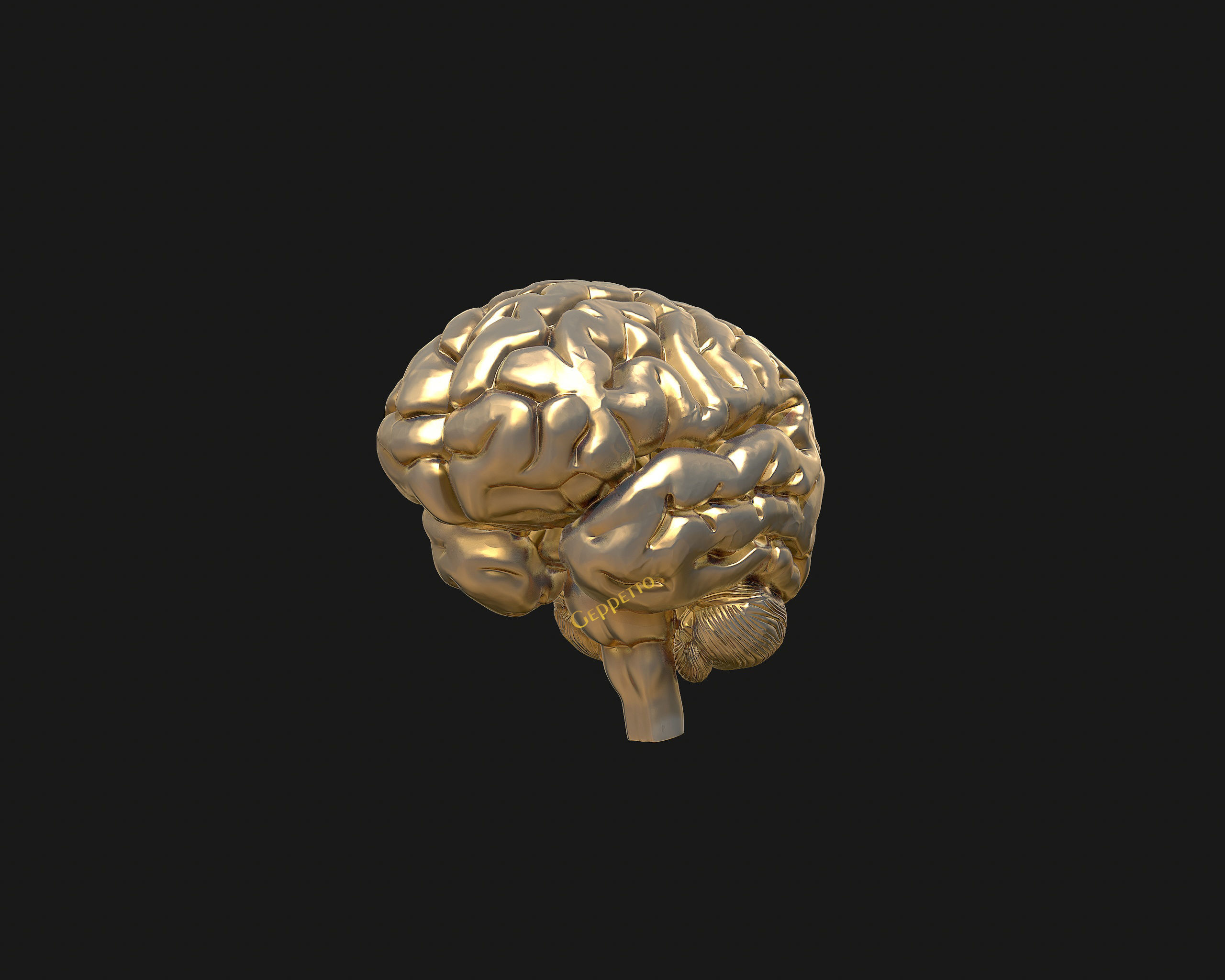 human Brain 3D model Ready to 3D print 3D model 3D printable | CGTrader
