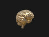 human Brain 3D model Ready to 3D print 3D model 3D printable | CGTrader