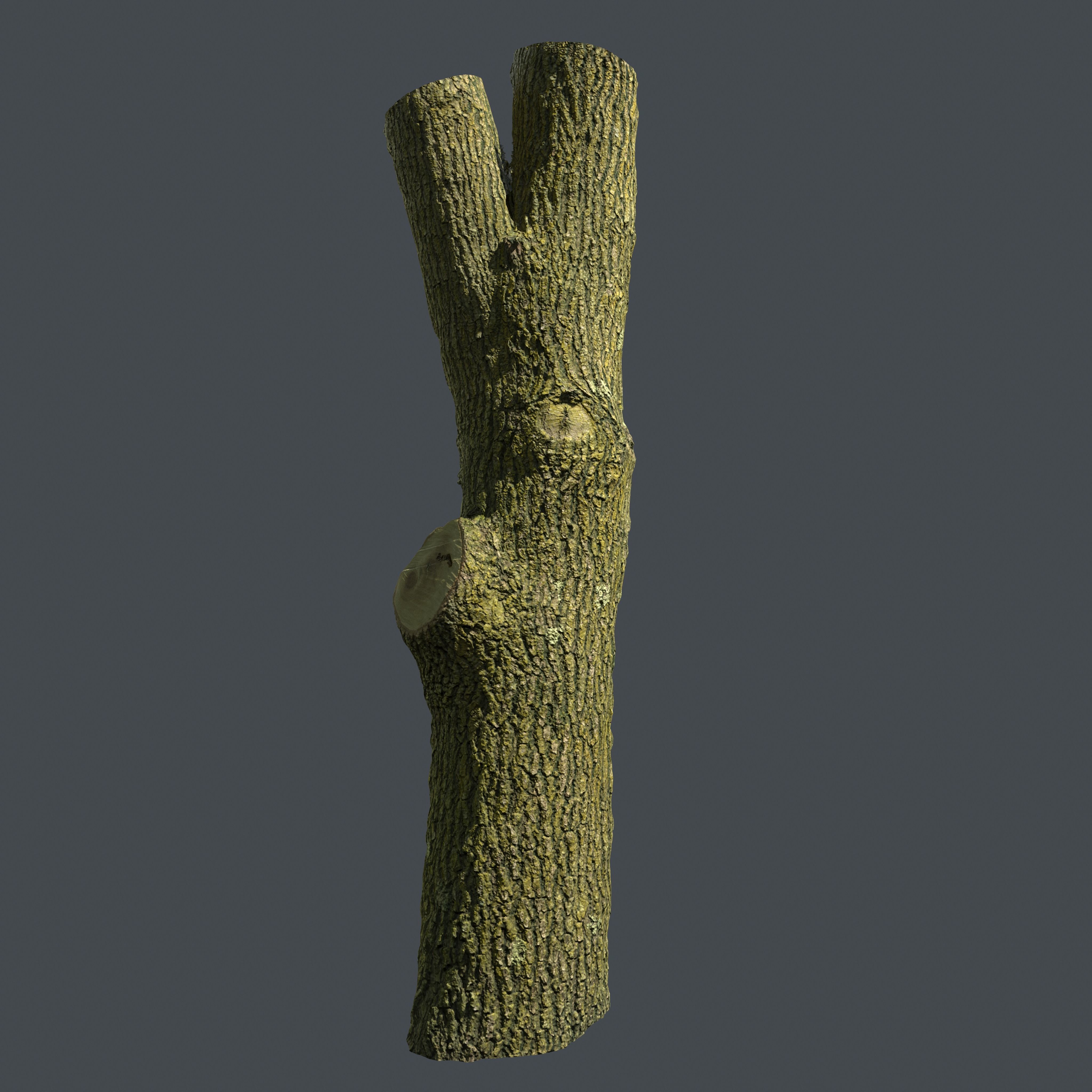 3D model PBR Scanned Tree Trunk VR / AR / low-poly | CGTrader