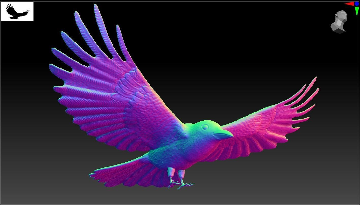 Magpie 3D model 3D printable | CGTrader