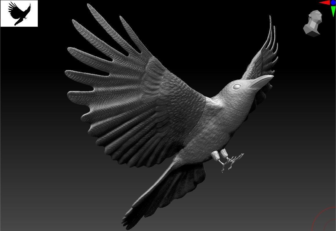Magpie 3D model 3D printable | CGTrader