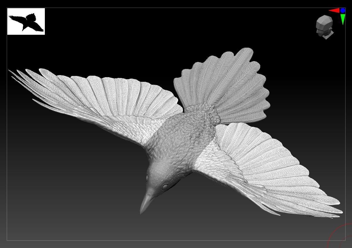 Magpie 3D model 3D printable | CGTrader