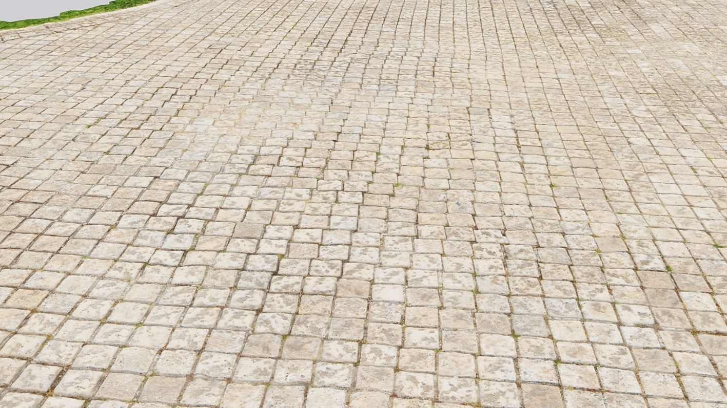 3D Scanned Pavement and driveway 3D model | CGTrader
