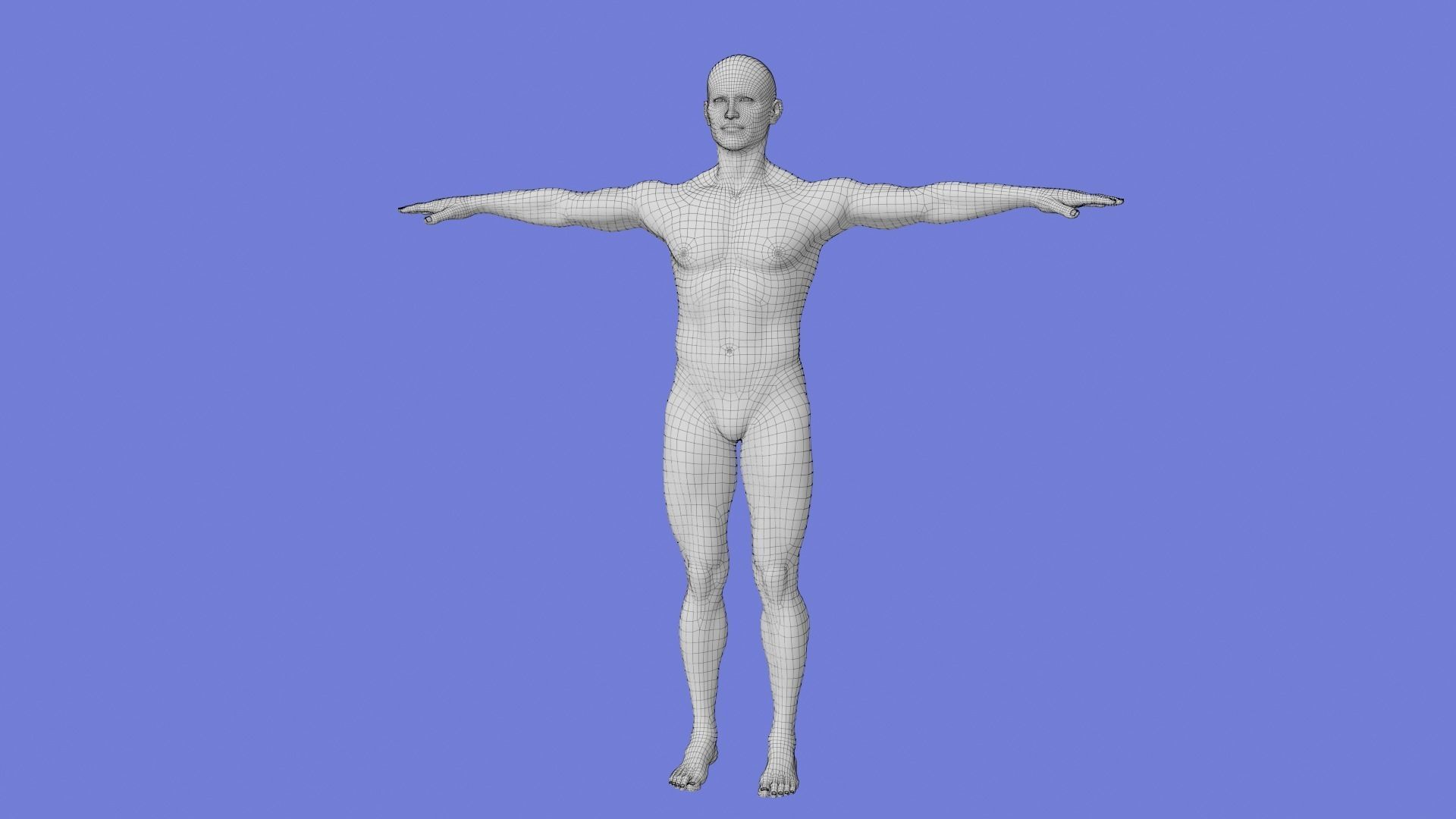 Male full body Rig 3D model rigged | CGTrader