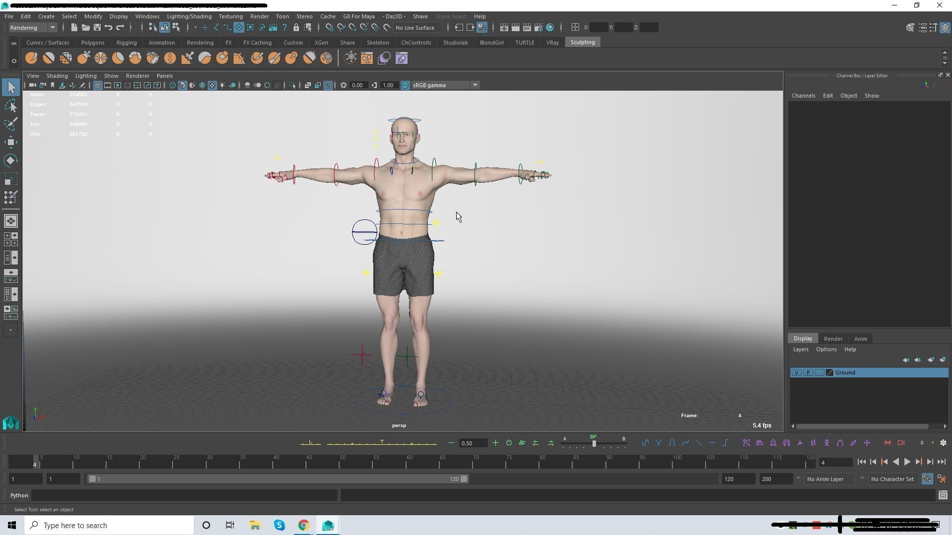 Male full body Rig 3D model rigged | CGTrader