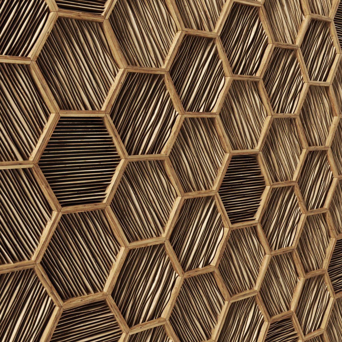 Parametric Ngon frame decor 3D model | CGTrader