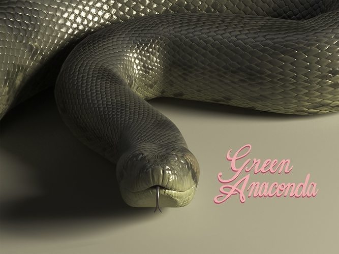 3D model Green Anaconda VR / AR / low-poly rigged animated | CGTrader