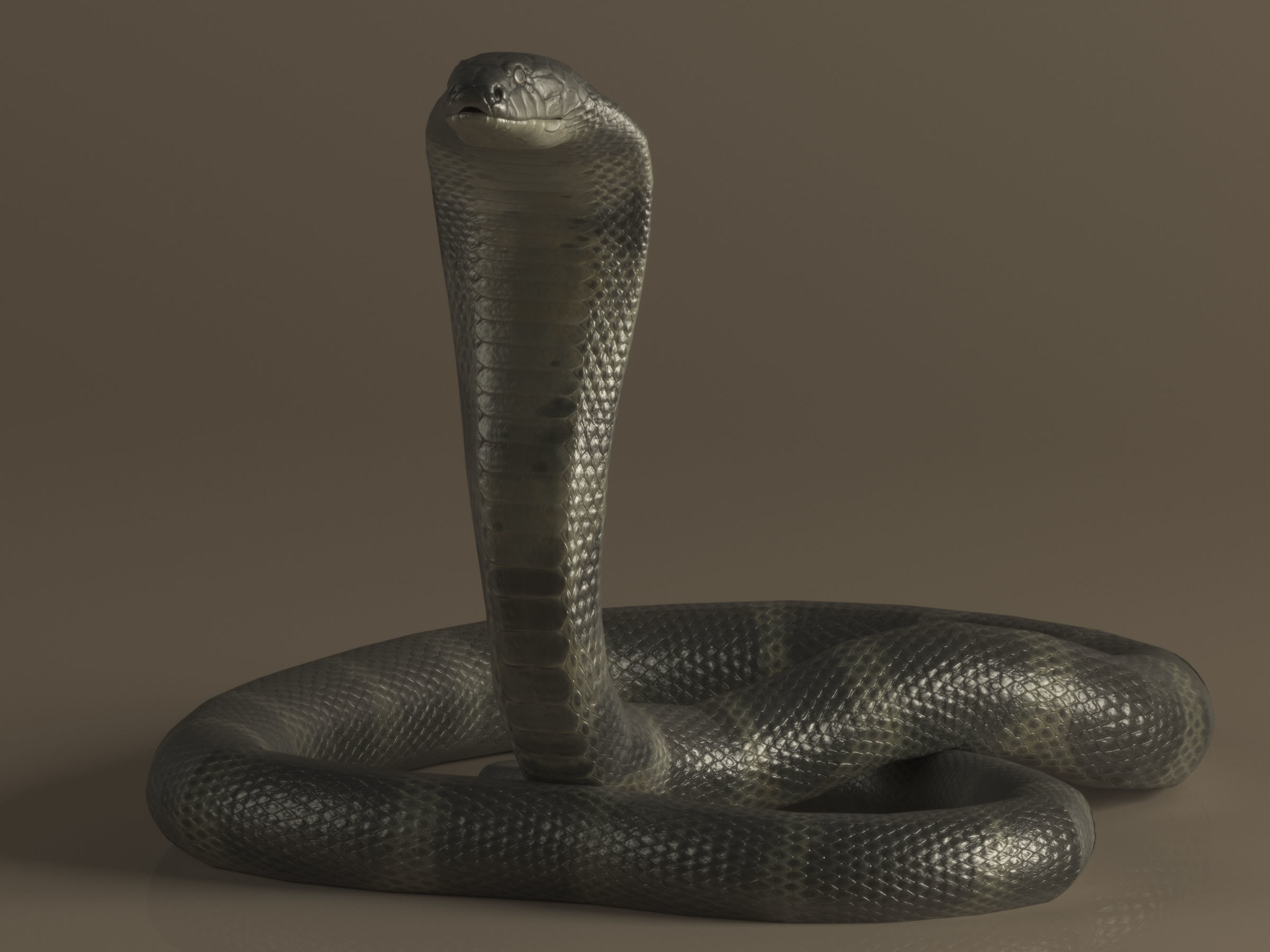 3D model King Cobra VR / AR / low-poly rigged | CGTrader