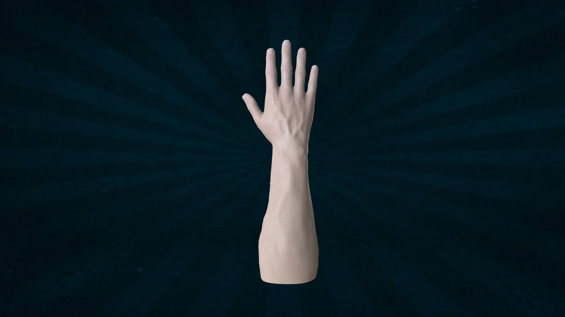 HAND-016 Rigged Right Hand 3D model rigged | CGTrader