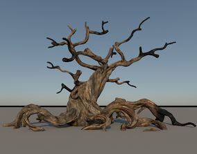 Tree 3D Models | CGTrader