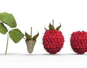 Raspberry 3D Models | CGTrader