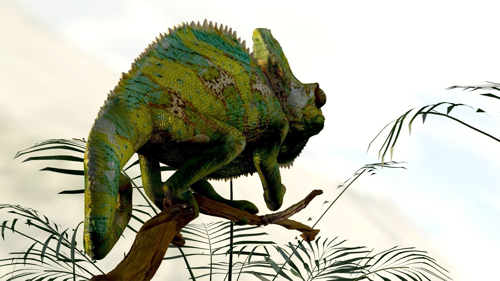 Chameleon Realistic High Poly 3D model | CGTrader