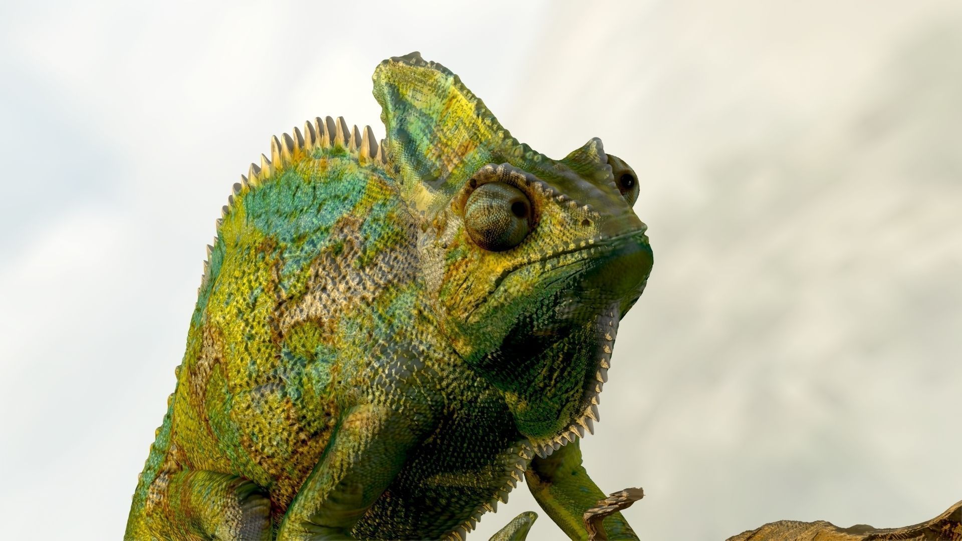 Chameleon Realistic High Poly 3D model | CGTrader