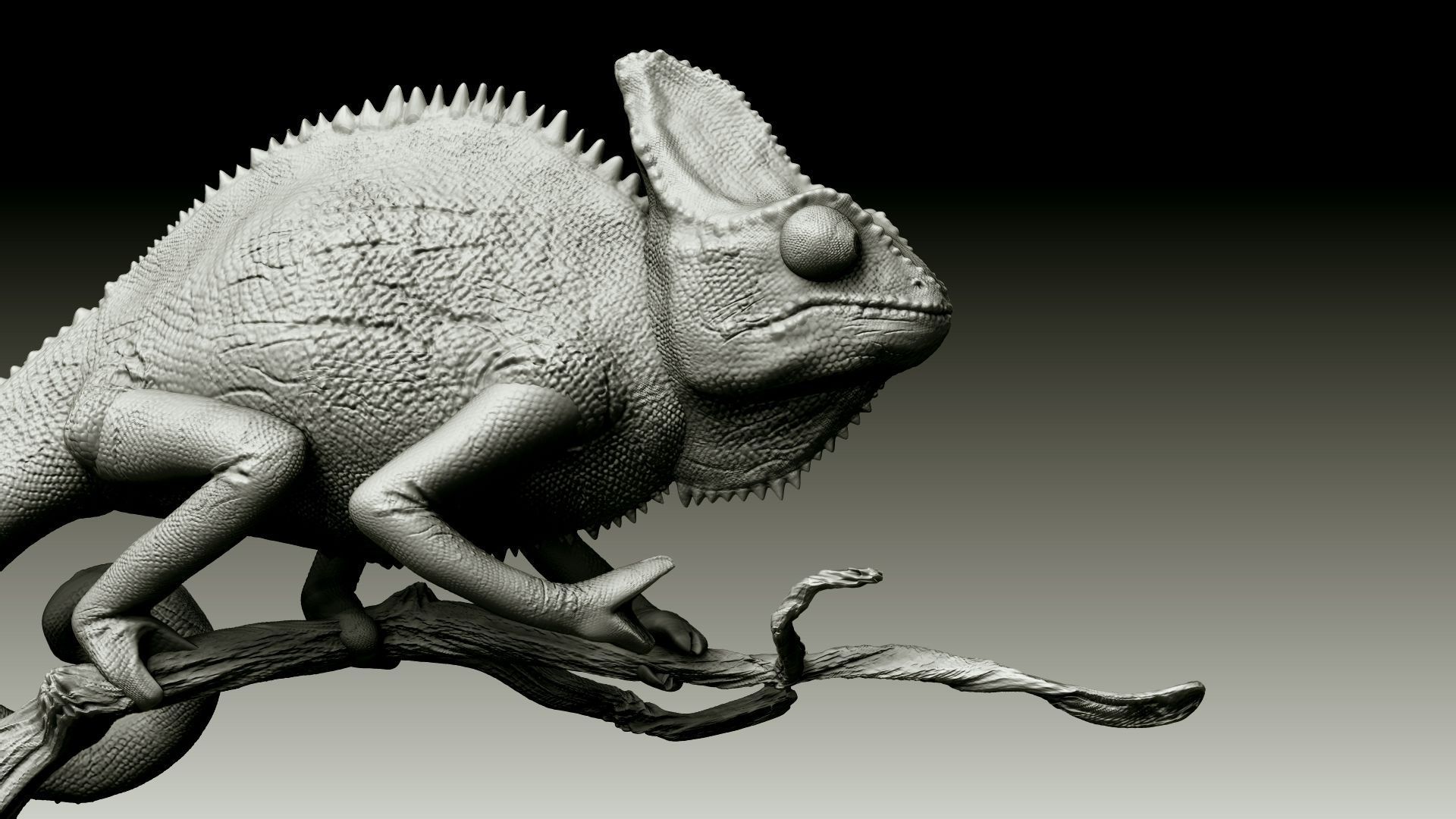 Chameleon Realistic High Poly 3D model | CGTrader
