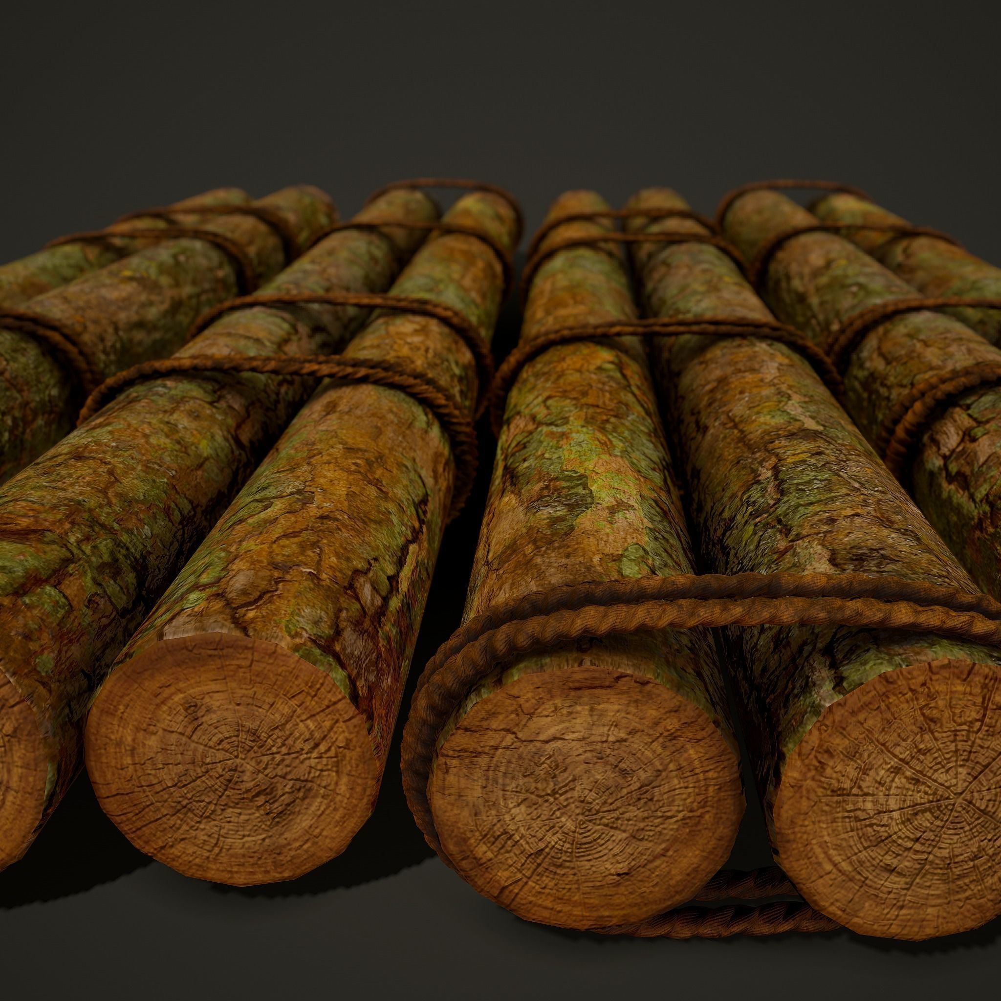 Tied Logs with Rope 3D model | CGTrader