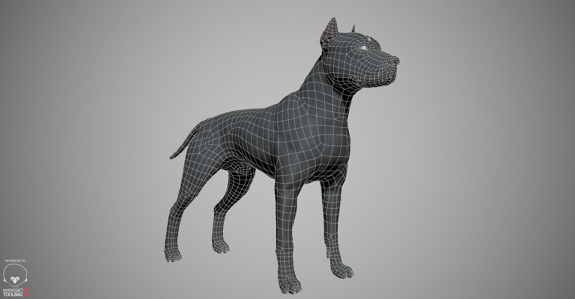 3D model Pitbull Real-Time VR / AR / low-poly ZTL - CGTrader.com