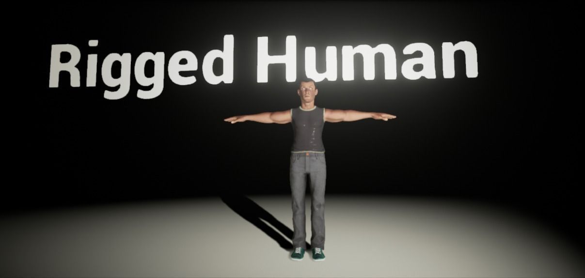 Human Rigged 3D model rigged | CGTrader