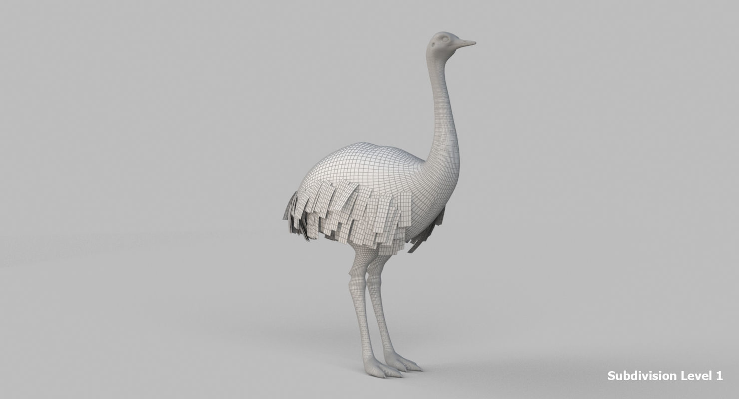3D model Emu Bird 3D model | CGTrader