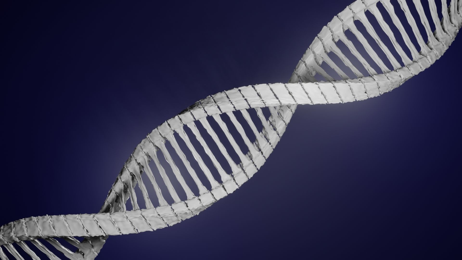 Dna Structure Model 3d Model Cgtrader