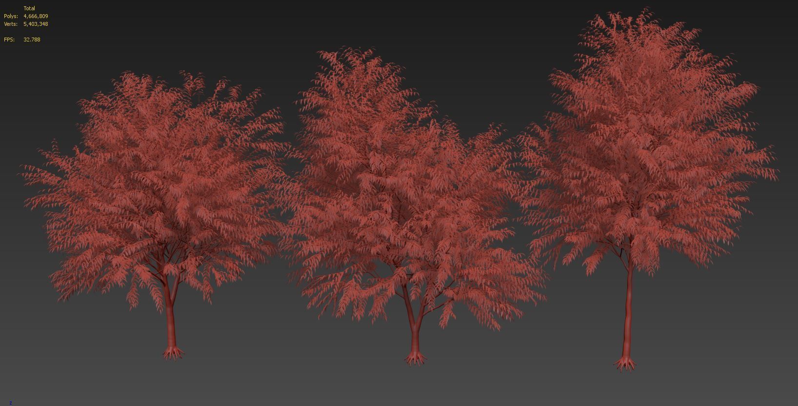 Waterhousea floribunda collection 3D model | CGTrader