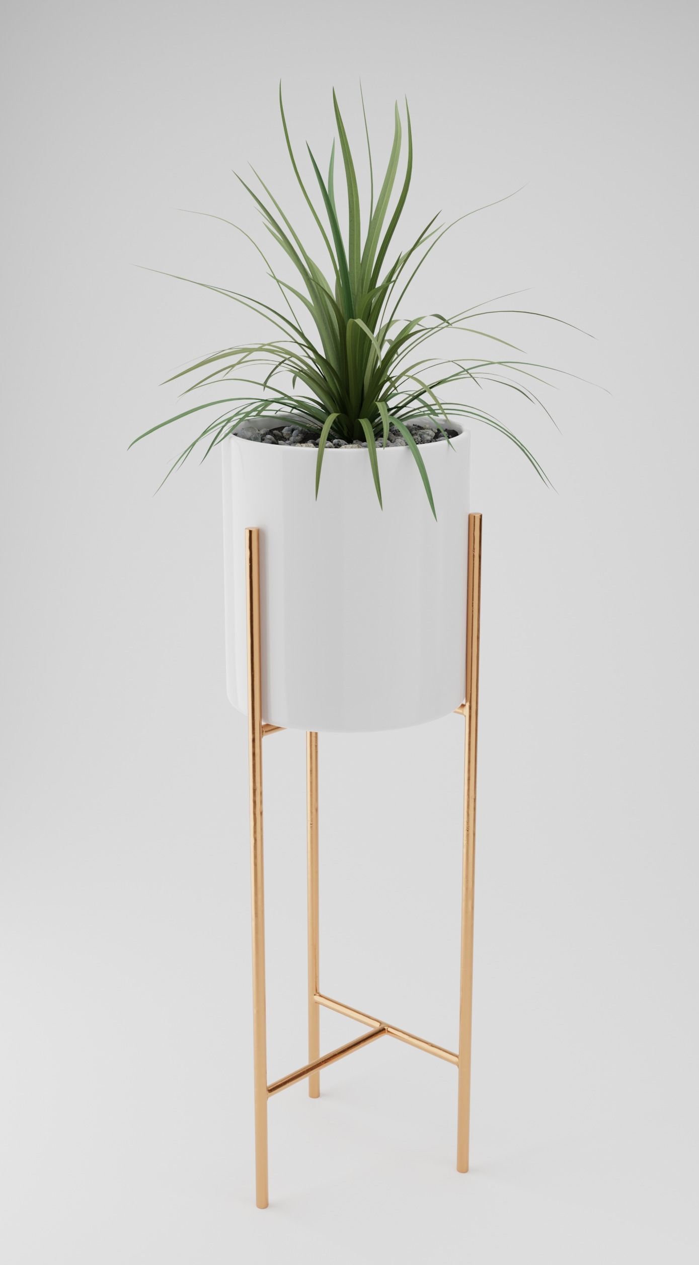 Pottered Plant on stand 3D model | CGTrader