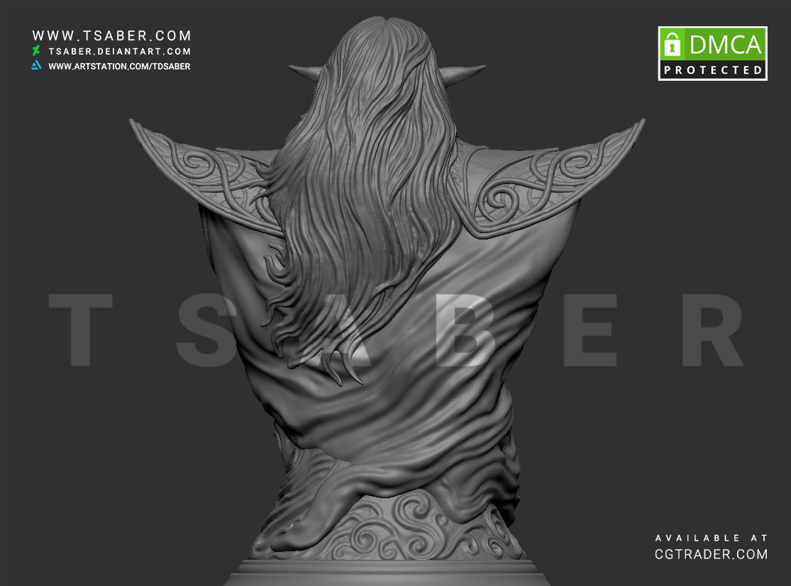 Deedlit Bust - Anime Elf Bust 3D model 3D printable | CGTrader