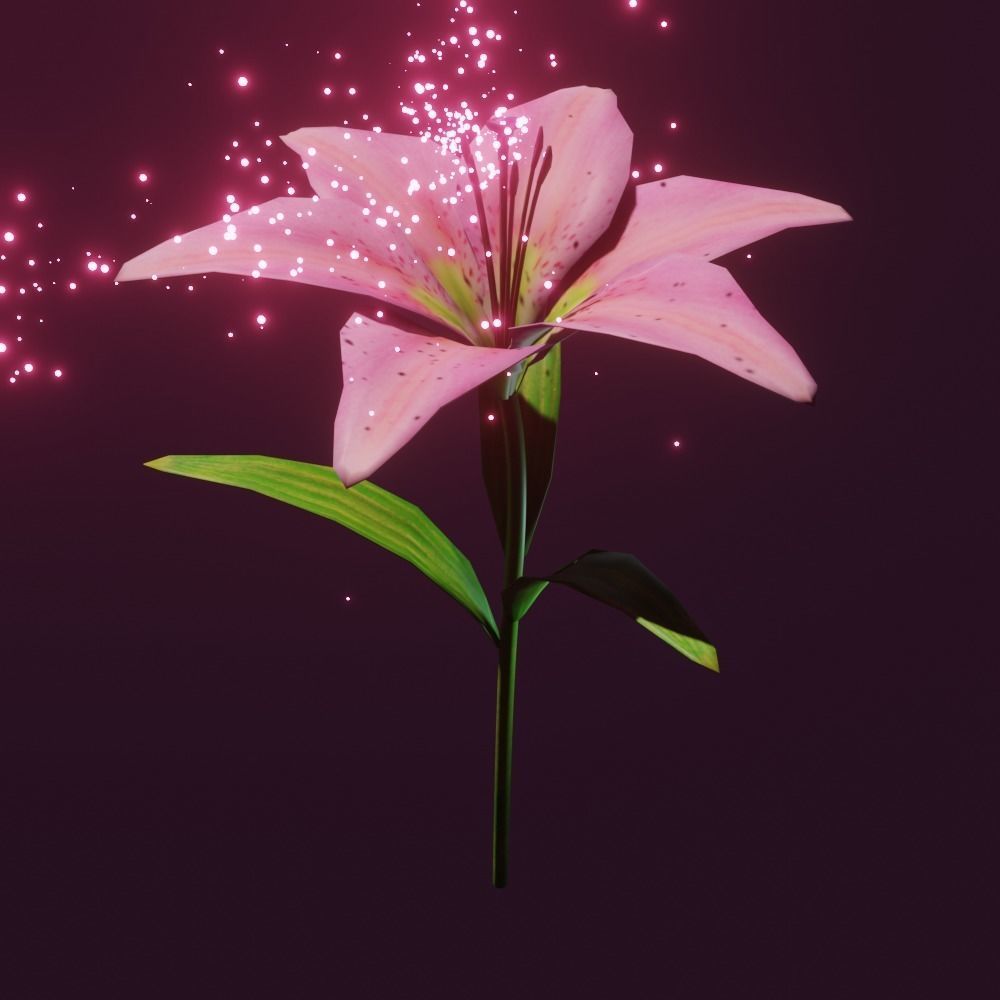 Lily flower 3D model | CGTrader