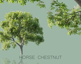 Tree 3D Models | CGTrader