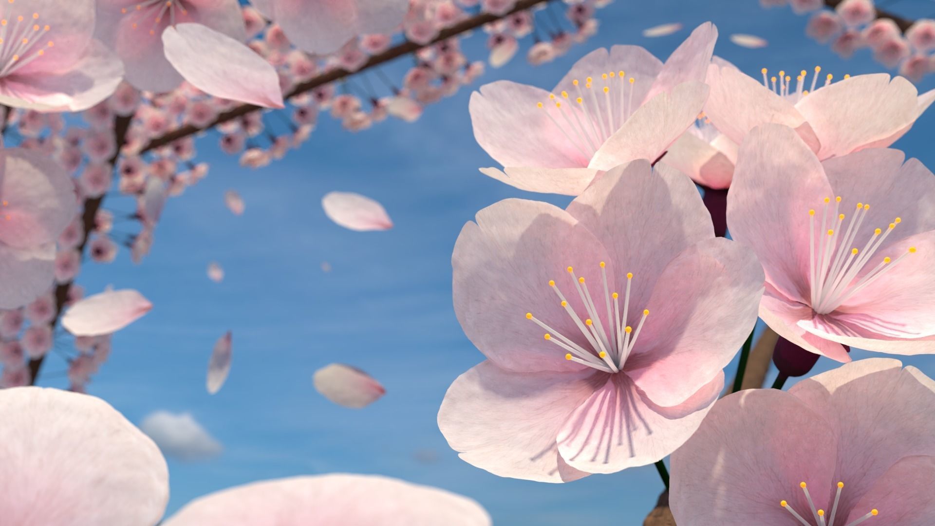 Cherry Blossom Scene 3D model | CGTrader